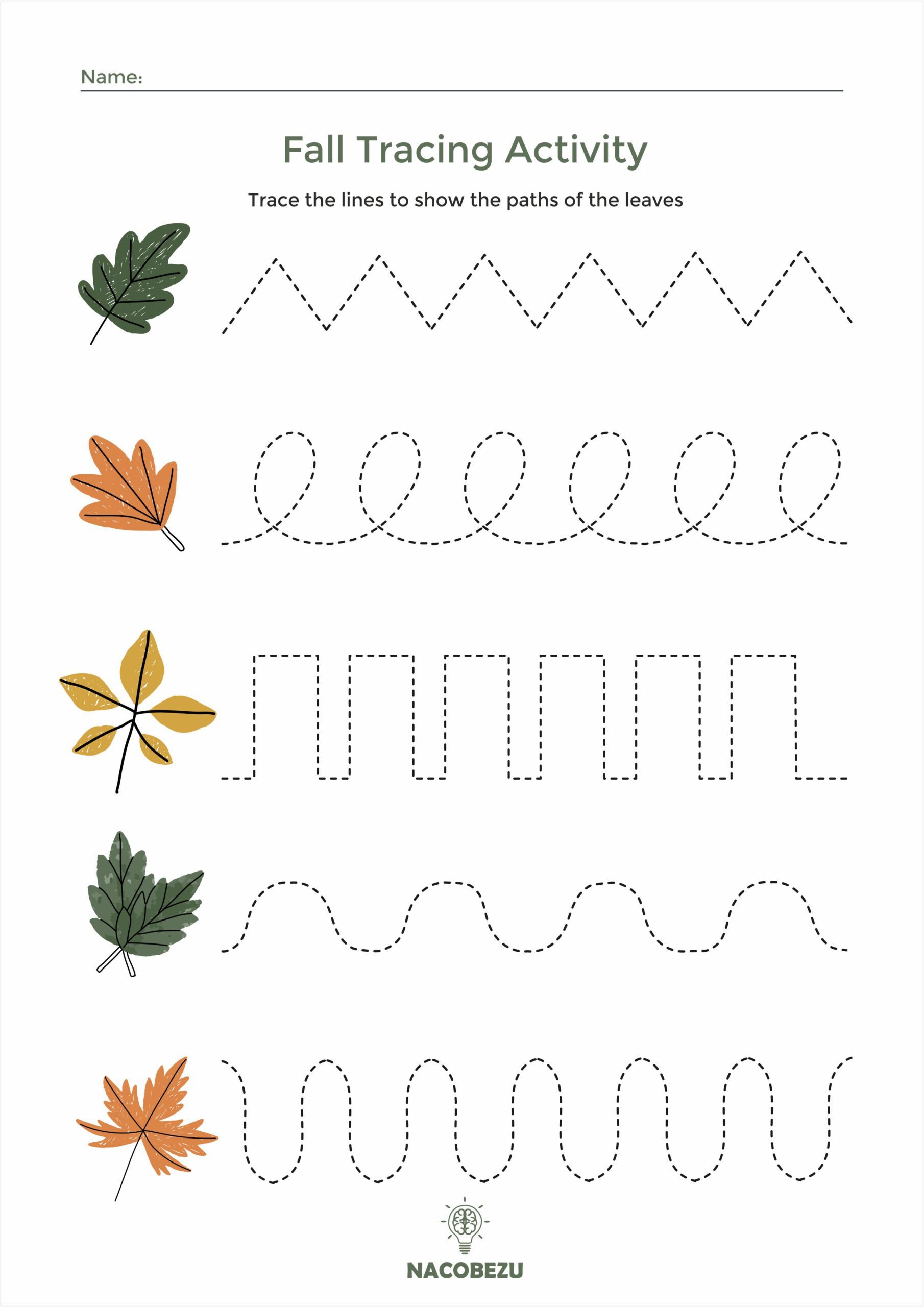 Autumn tracing worksheets for kids
